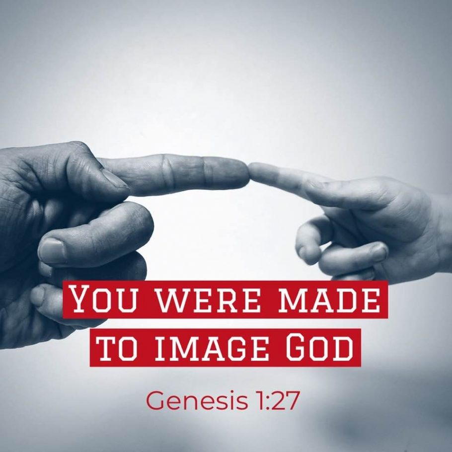 You Were Made to Image God - LIttle House in the PNW